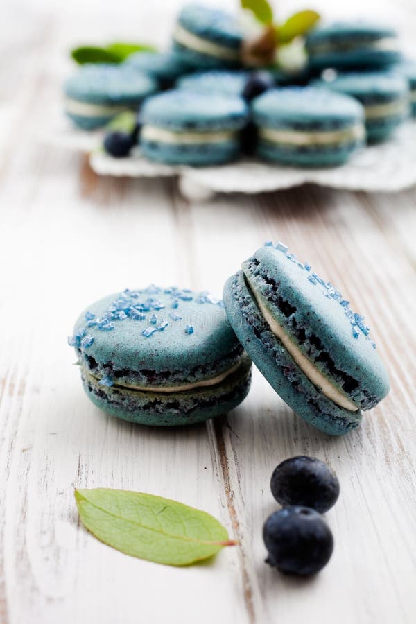 Blueberry macaroons stock photo. Image of colours, filling - 33996290