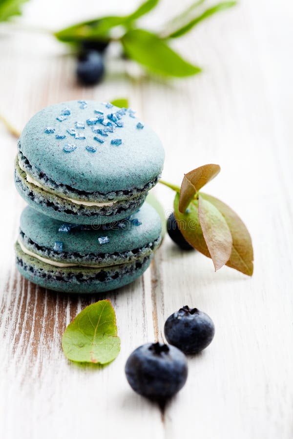 Blueberry macaroons stock photo. Image of fresh, baked - 33996622
