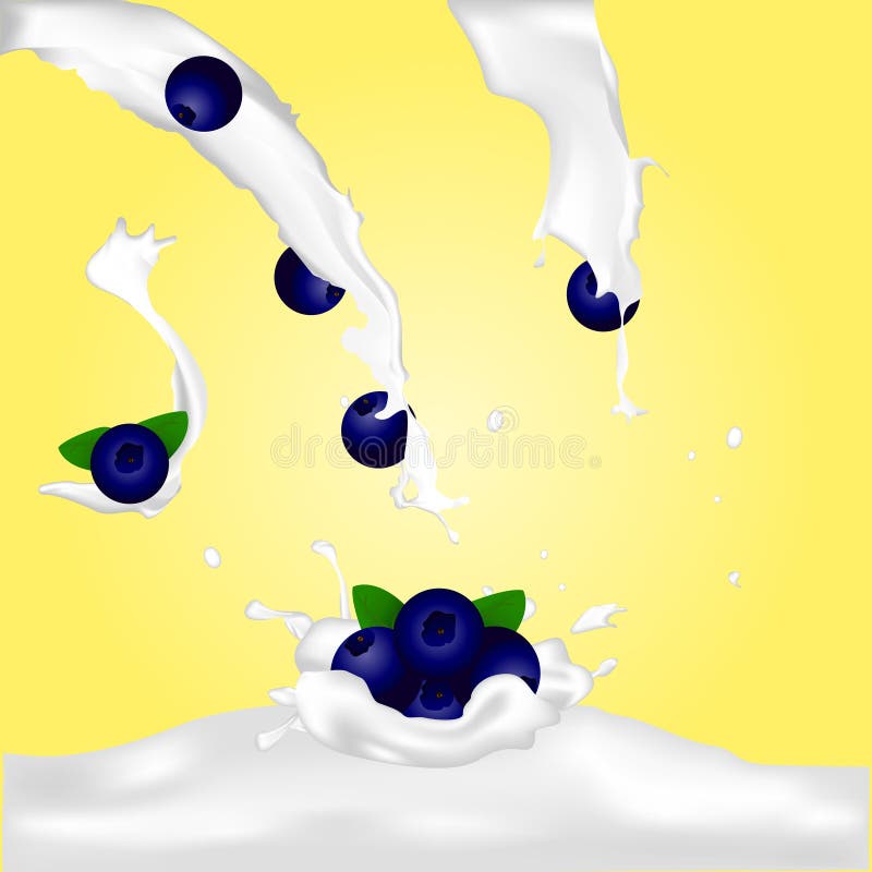 Blueberry in milk splash stock vector. Illustration of drop - 96401320