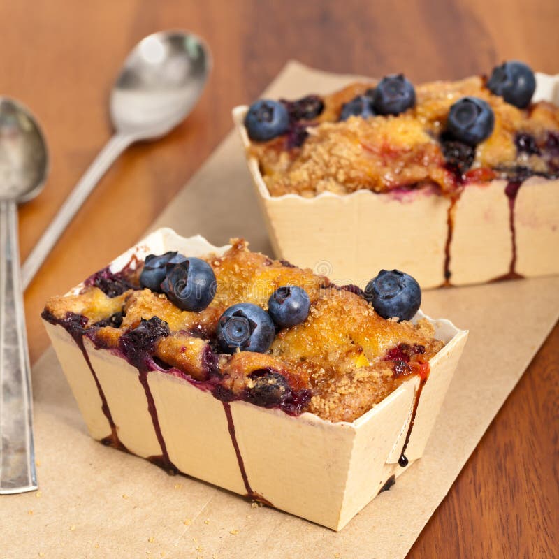 Blueberry Mini Cakes stock photo. Image of focus, bake - 55315756