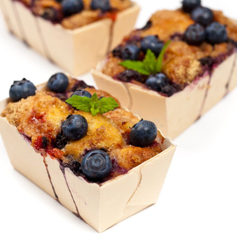 Blueberry Mini Cakes stock photo. Image of focus, blueberry - 60778546