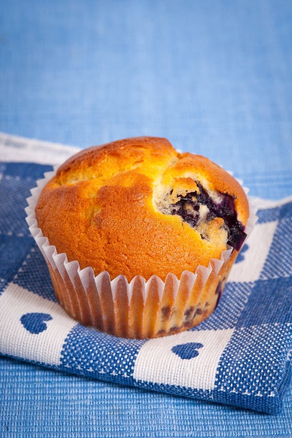 Blueberry muffin stock photo. Image of brown, food, calories - 22971626