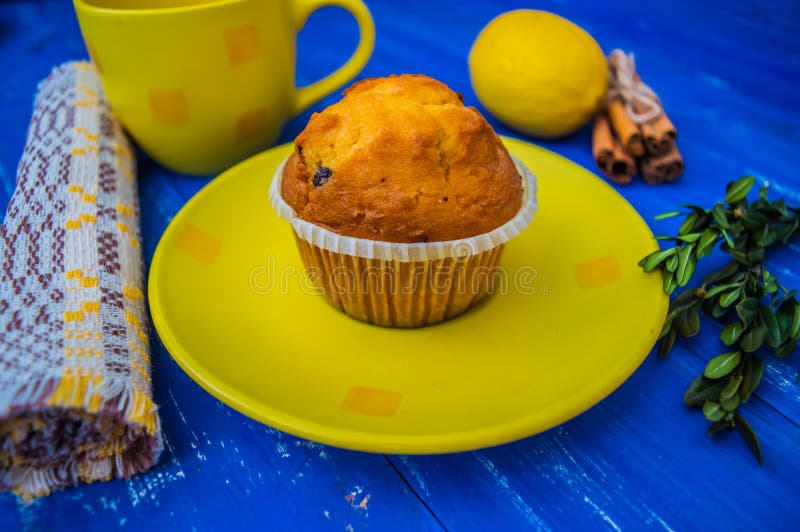 Blueberry Muffin on Blue Background. Close-up Stock Image - Image of ...