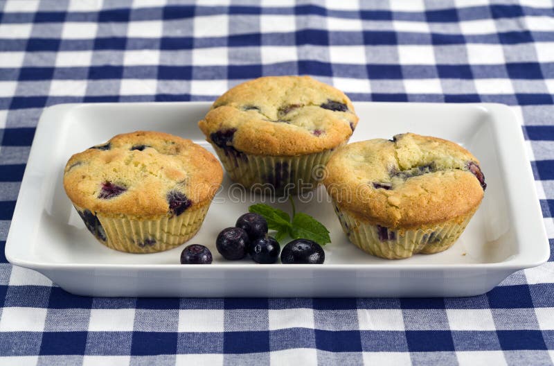 Blueberry muffins stock image. Image of muffin, traditional - 358904625