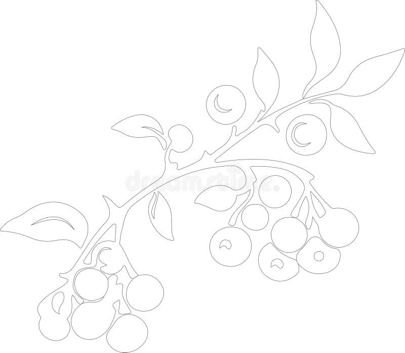 Blueberry Outline Silhouette Generative Ai Stock Vector - Illustration ...