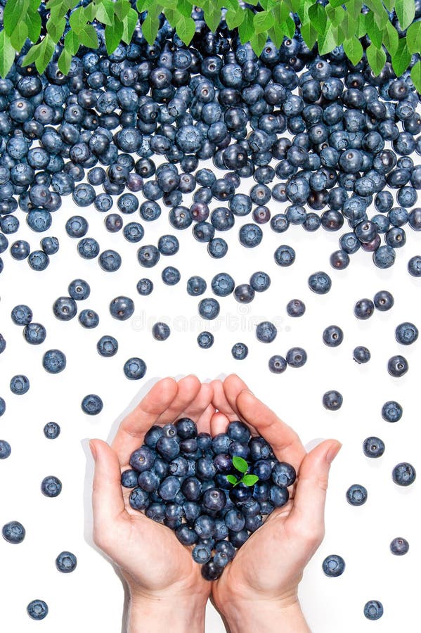 Blueberry Pattern and Handful of Blueberries in the Center Stock Image ...