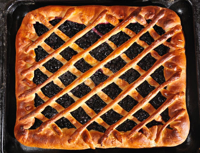 Blueberry pie stock image. Image of fresh, golden, sweet - 17877505