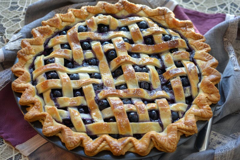 Blueberry Pie with a Beautiful Braided Lattice Crust Stock Illustration ...