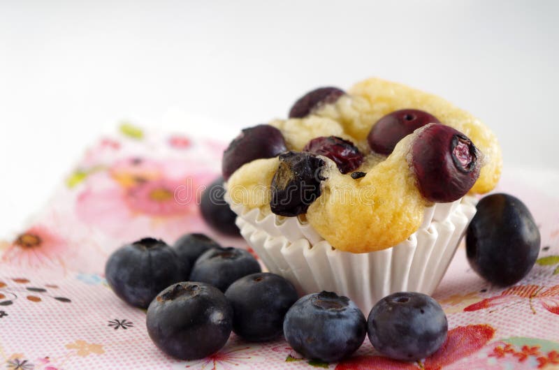 Blueberry pie stock image. Image of blaeberries, cookie - 66356259