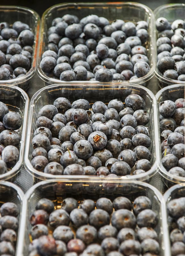 Blueberry in the Plastic Tray Stock Photo - Image of black, natural ...