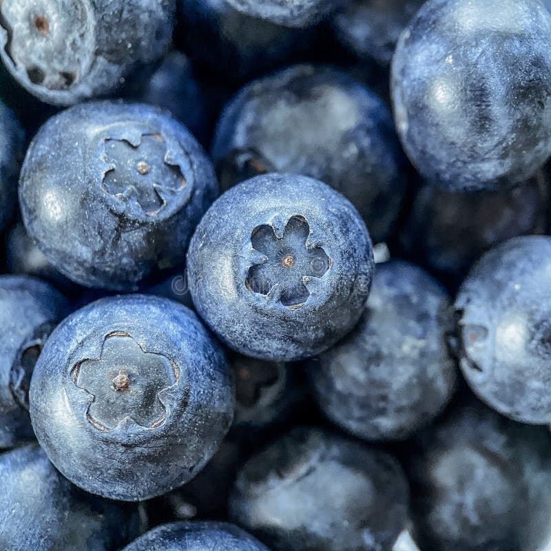 Blueberry Plate at a Close Up Stock Image - Image of healthy, view ...