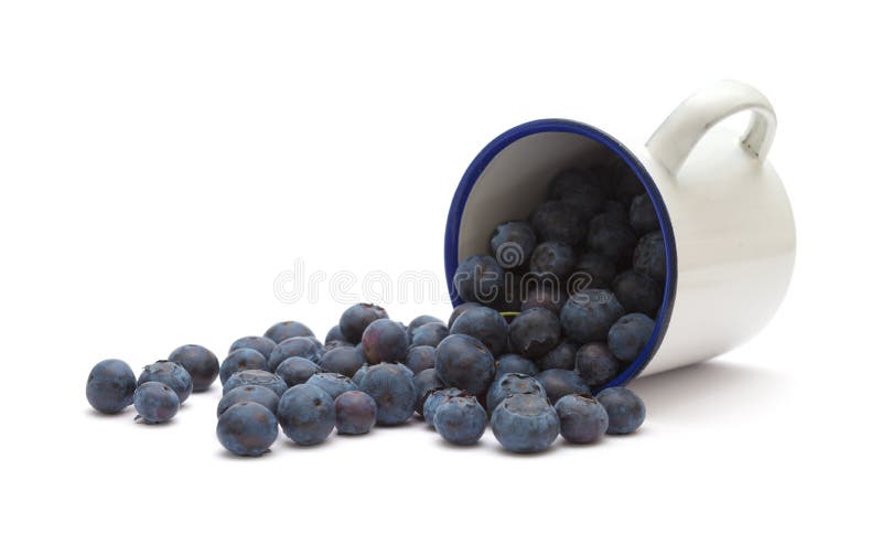 Blueberry stock image. Image of freshness, blueberries - 42183433