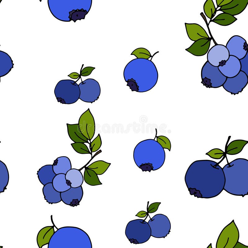Blueberry Seamless Pattern by Hand Drawing on White Backgrounds. Stock ...