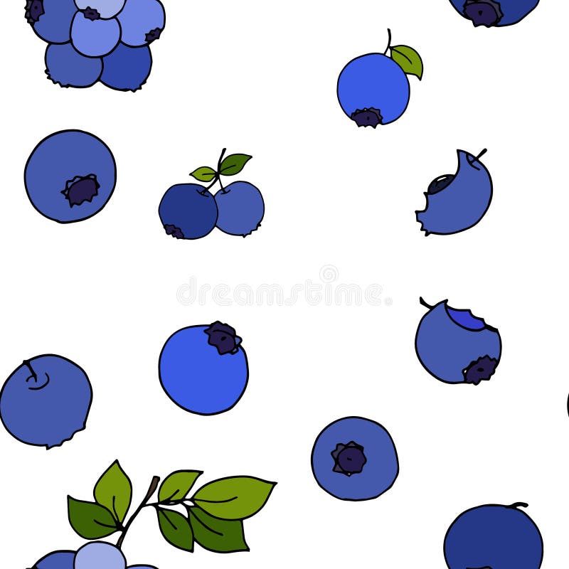 Blueberry Seamless Pattern by Hand Drawing on White Backgrounds. Stock ...