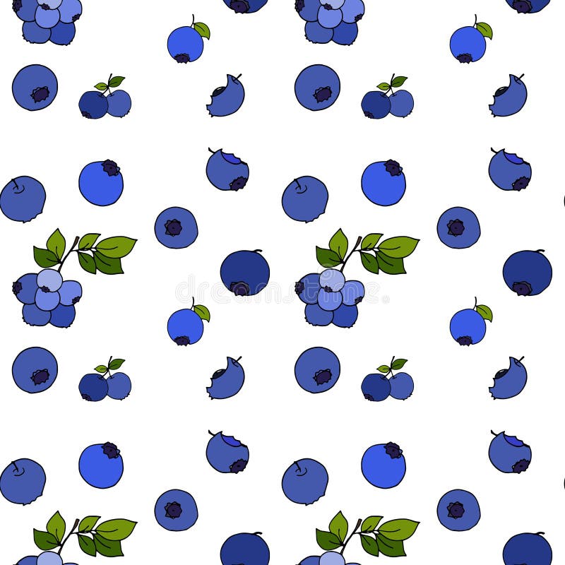 Blueberry Seamless Pattern by Hand Drawing on White Backgrounds. Stock ...