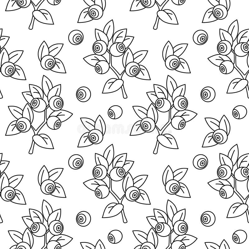 Blueberry Seamless Pattern on White Background.Vector Illustration for ...