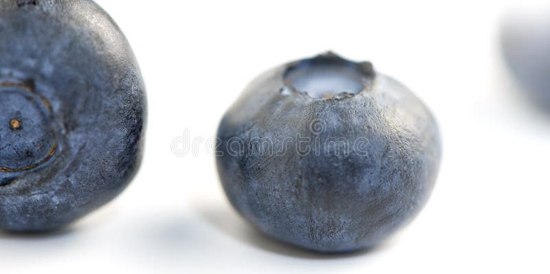 Blueberry Shot in Extreme Close-up Stock Image - Image of medicine ...