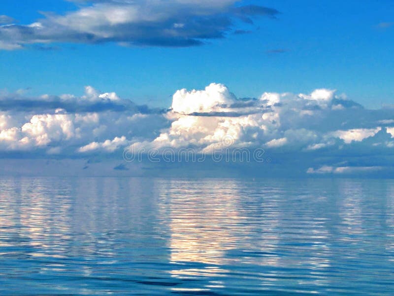 Blueberry Sky stock image. Image of reflection, blueberry - 104143815