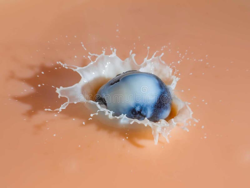 Blueberry Splash in Milk stock image. Image of fruit - 314625853