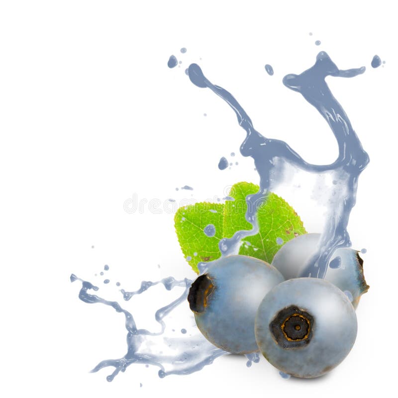 Blueberry splash stock image. Image of motion, bubble - 44498165