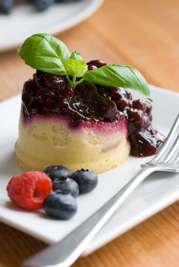 Blueberry pudding stock photo. Image of food, blue, nutrition - 16998350