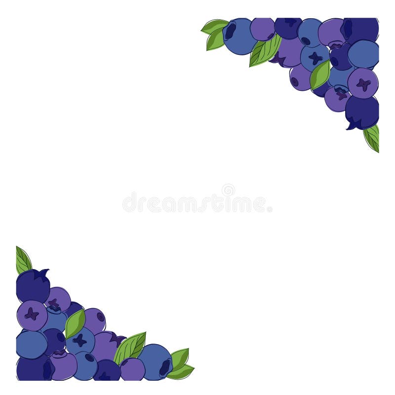 Blueberry Square Frame. Vector Graphic Line Illustration. Isolated on a ...