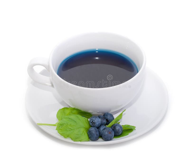 Blueberry tea stock photo. Image of indian, food, lifestyle - 13085522