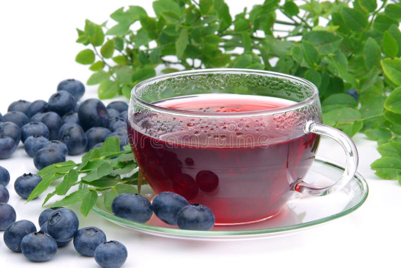 Blueberry tea stock image. Image of herbal, common, leaf - 49227791