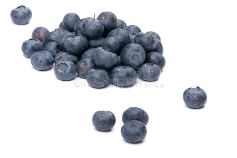 Blueberry on white stock photo. Image of gourmet, white - 18326088