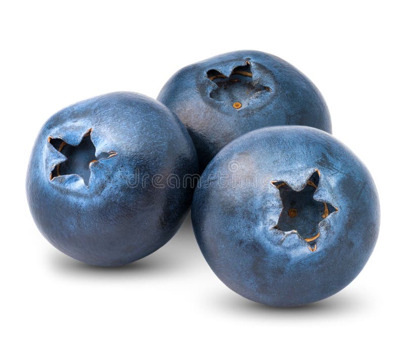 3,505 One Blueberry White Background Stock Photos - Free & Royalty-Free ...