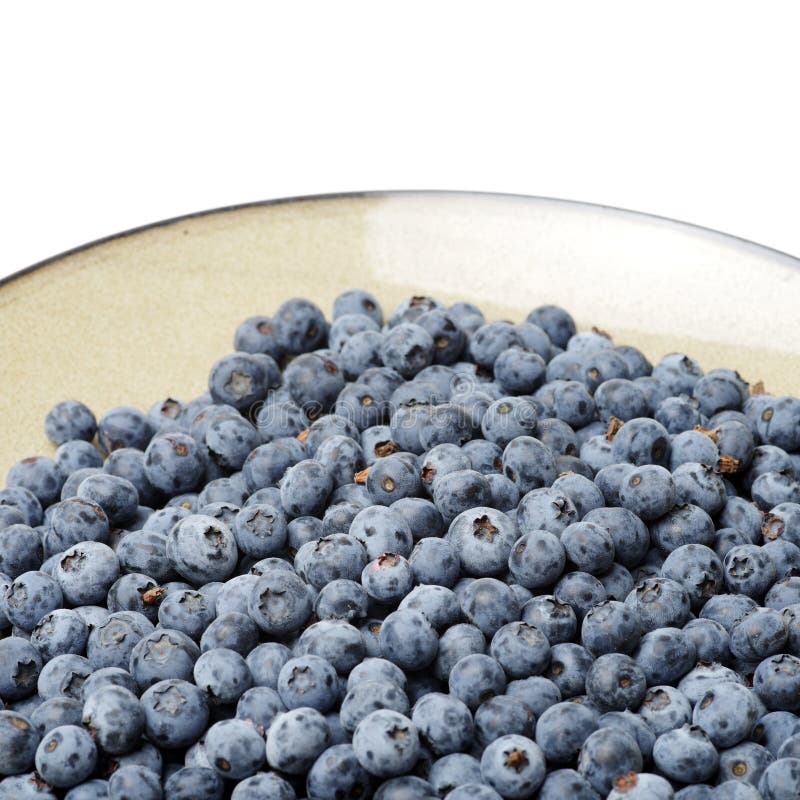 Blueberry on White Background Stock Image - Image of health, healthy ...