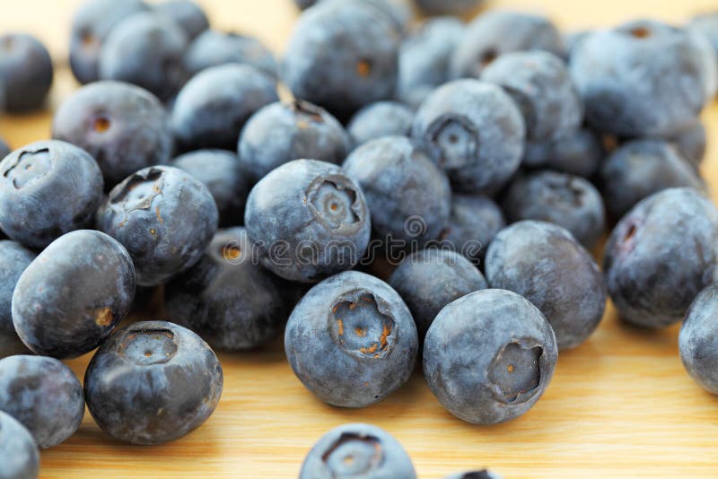 Rotten Food : Mouldy Blueberry Fruit Stock Photo - Image of bacteria ...