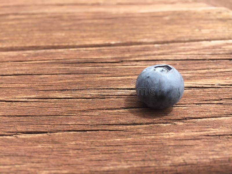 Singular Blueberry Stock Photos - Free & Royalty-Free Stock Photos from ...