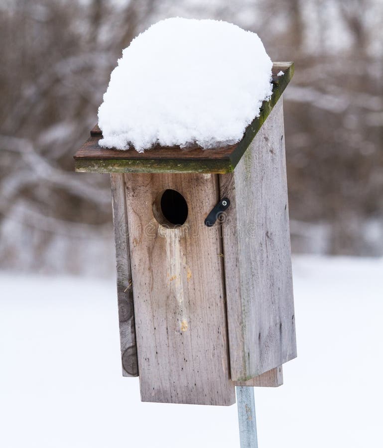 A Bluebird House with Snow on the Roof Stock Image - Image of breasted ...