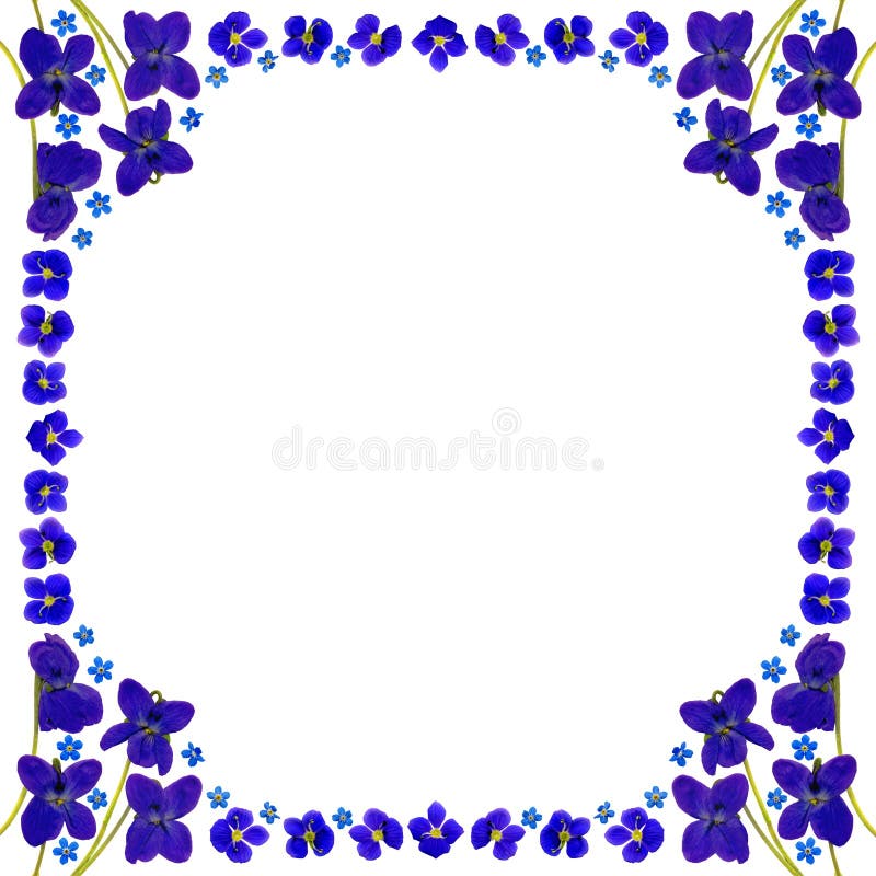 BlueBlossomsFrameSquareWhite Stock Illustration - Illustration of white ...