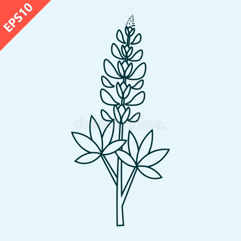 Bluebonnet Design Vector Flat Isolated Illustration Stock Vector ...