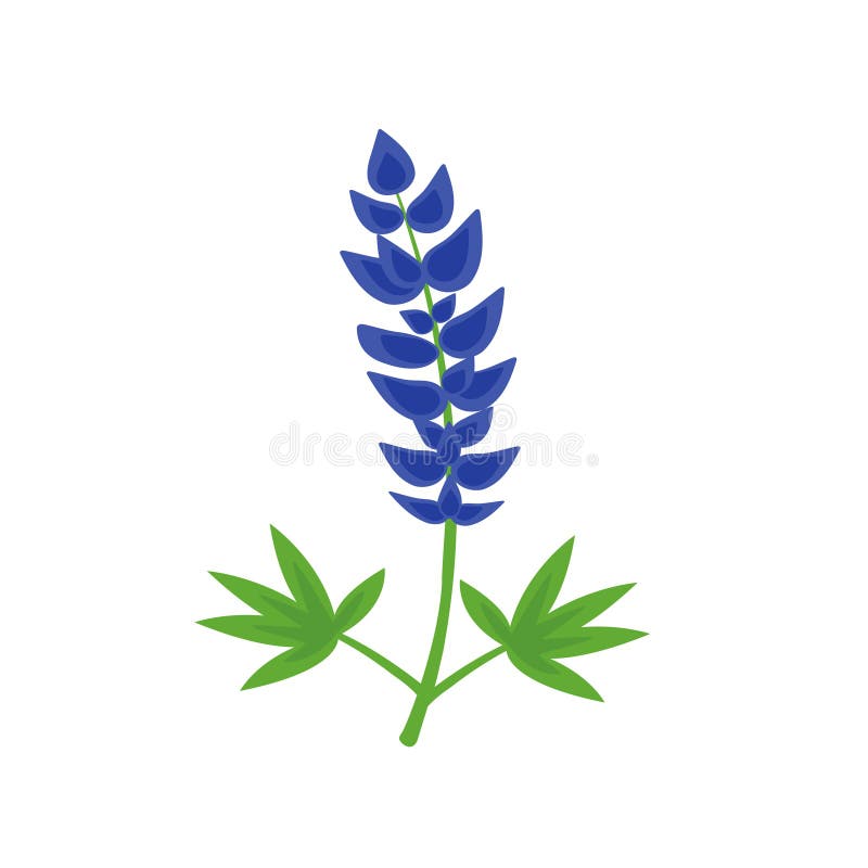 Bluebonnet Logo Cartoon Icon Design Template Flat Isolated Vector ...