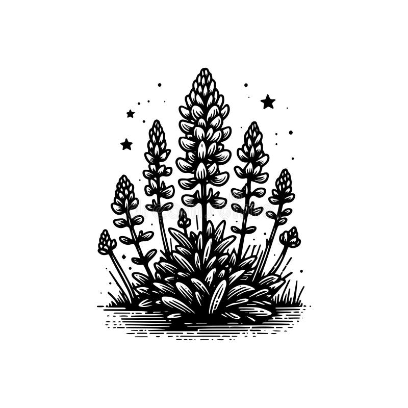 Bluebonnet Mature Flower Vector with Vintage Logo and Rustic ...