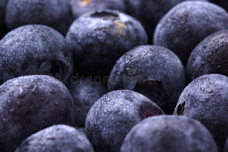 Bluecherries stock image. Image of macro, blueberries - 37792183