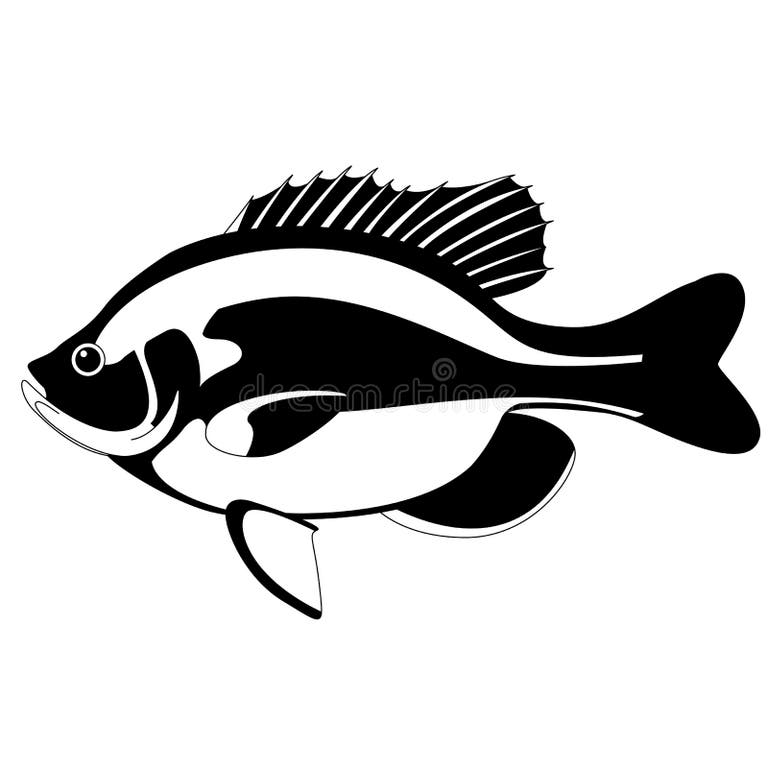 Bluegill Fish, Vector Illustration, Black Silhouette, Side Stock Vector ...
