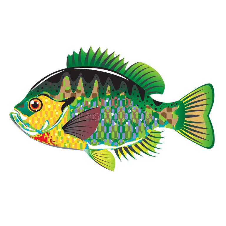 Panfish Stock Illustrations – 108 Panfish Stock Illustrations, Vectors ...