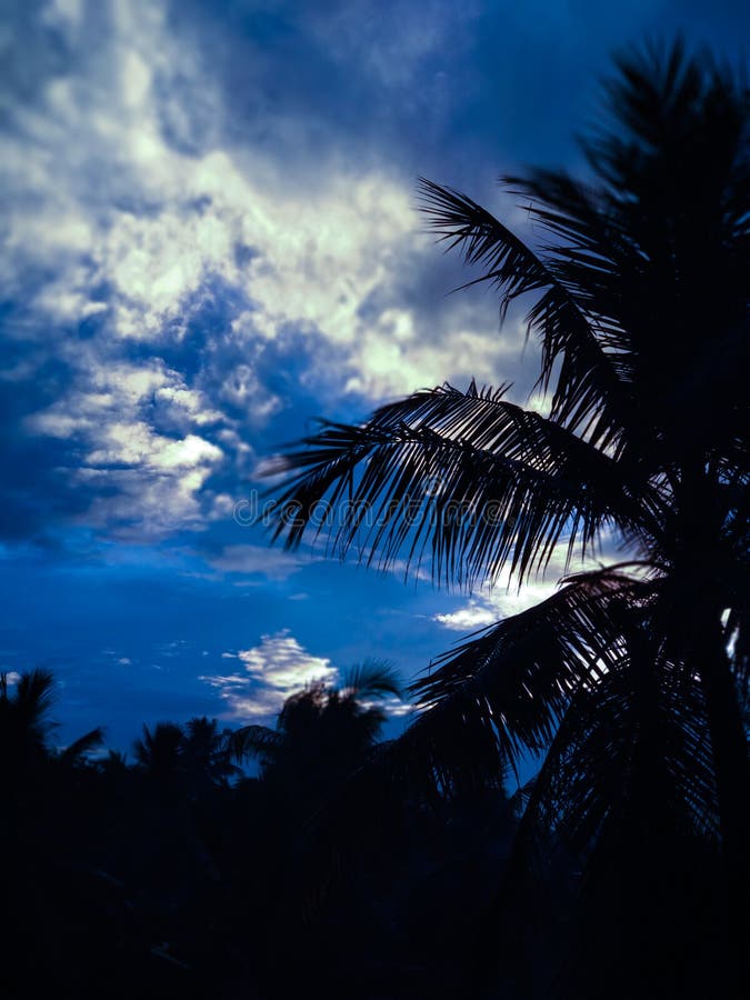 Blueish stock foto. Image of nave, donker, hemel, blauwachtig - 113381818