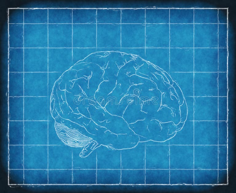 Brain Blueprint Stock Illustrations – 1,218 Brain Blueprint Stock ...