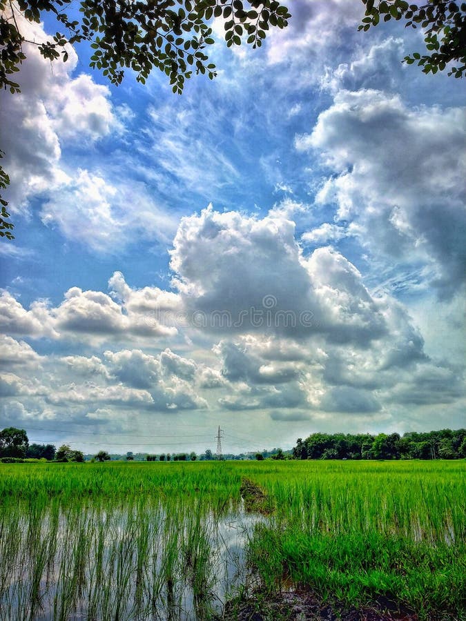 Blues and greens stock photo. Image of blues, greens - 128325892