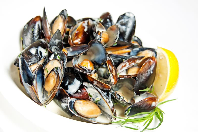 Blueshell Stock Photos - Free & Royalty-Free Stock Photos from Dreamstime