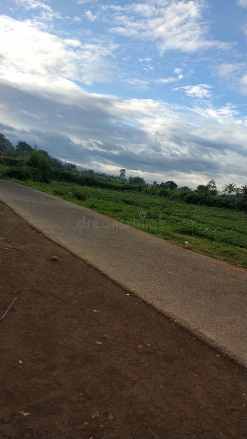 Bluesky Trees Way Ground Stock Photos - Free & Royalty-Free Stock ...