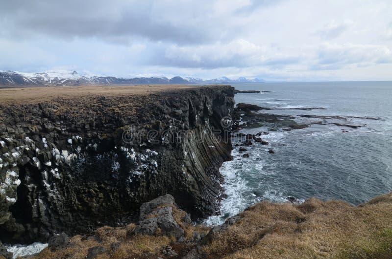 Bluffs and Rock Cliffs Made of Basalt Columns on the Coast Stock Photo ...