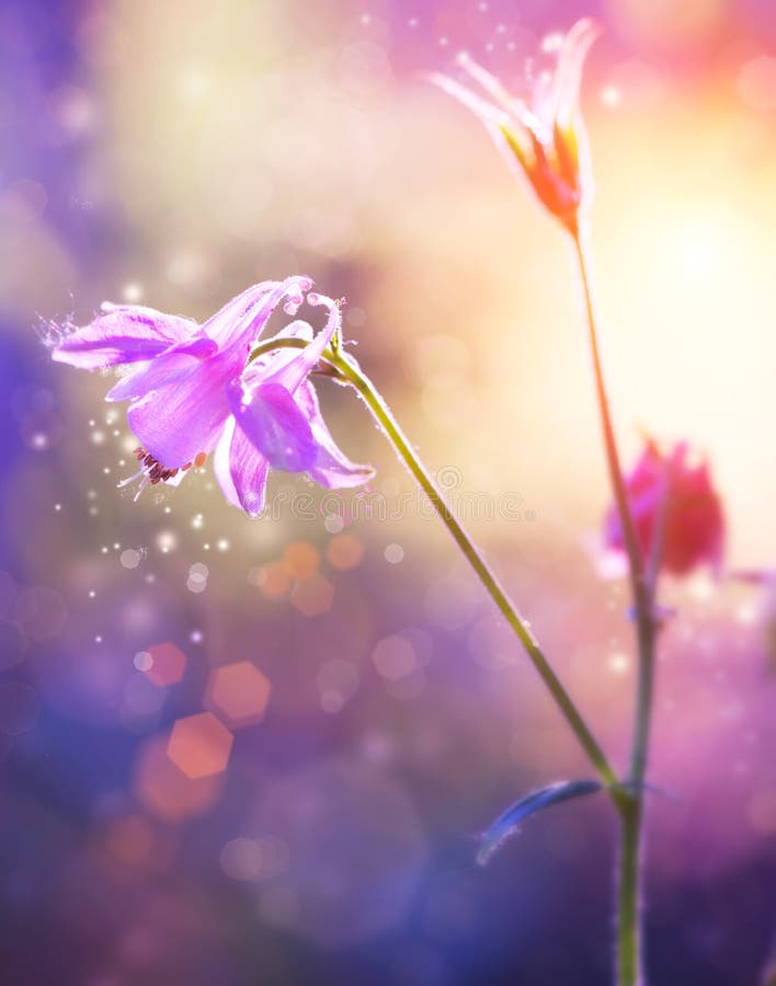 Blumen Art Design stockfoto. Bild von pastell, ostern - 32101542