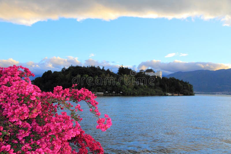 Blumen Auf Dem Erhai See Von Yunnan Stockfoto - Bild von wolke ...