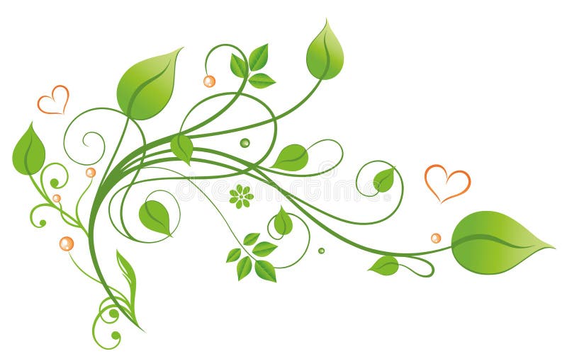Blumen, Blätter, Ranke vektor abbildung. Illustration von auszug - 33649027